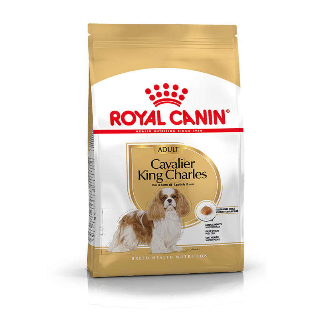 Royal Canin Cavalier King Charles – Birdjungle